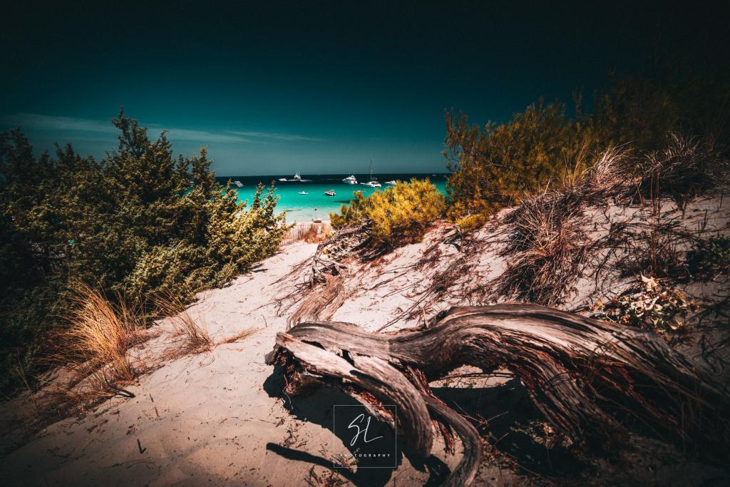 Mer turquoise ¤ SLAZT